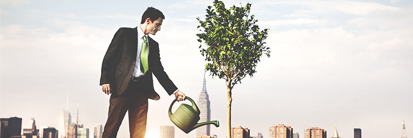 Práticas de TI Verde: os 3 níveis para implementação